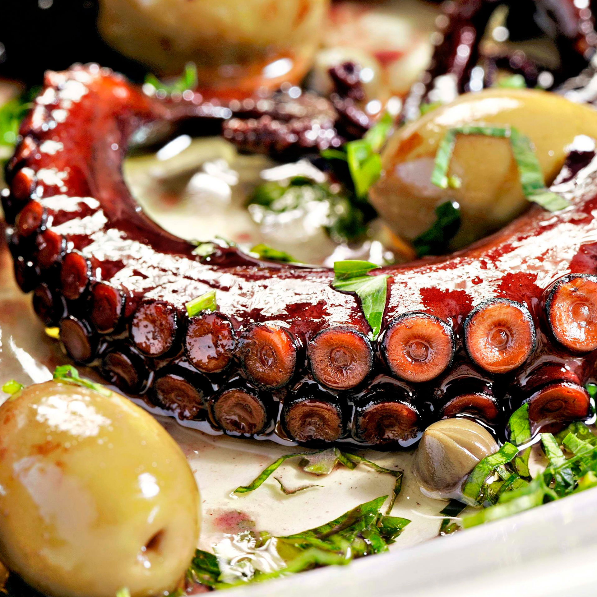 Pulpo marinado a la parrilla - Viva Lanzarote